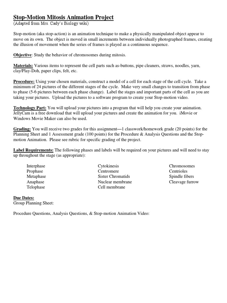 Mitosis Stop-Motion Animation Directions | PDF | Mitosis | Biological ...