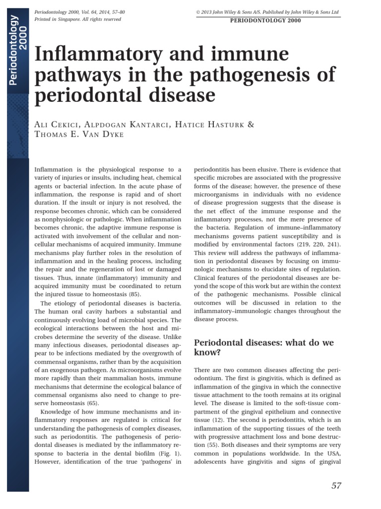 4 Inflammatory and Immune Pathways in The Pathogenesis of Periodontal ...