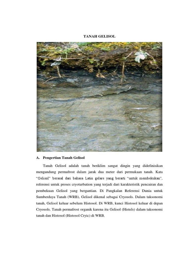 Tanah Gelisol | PDF