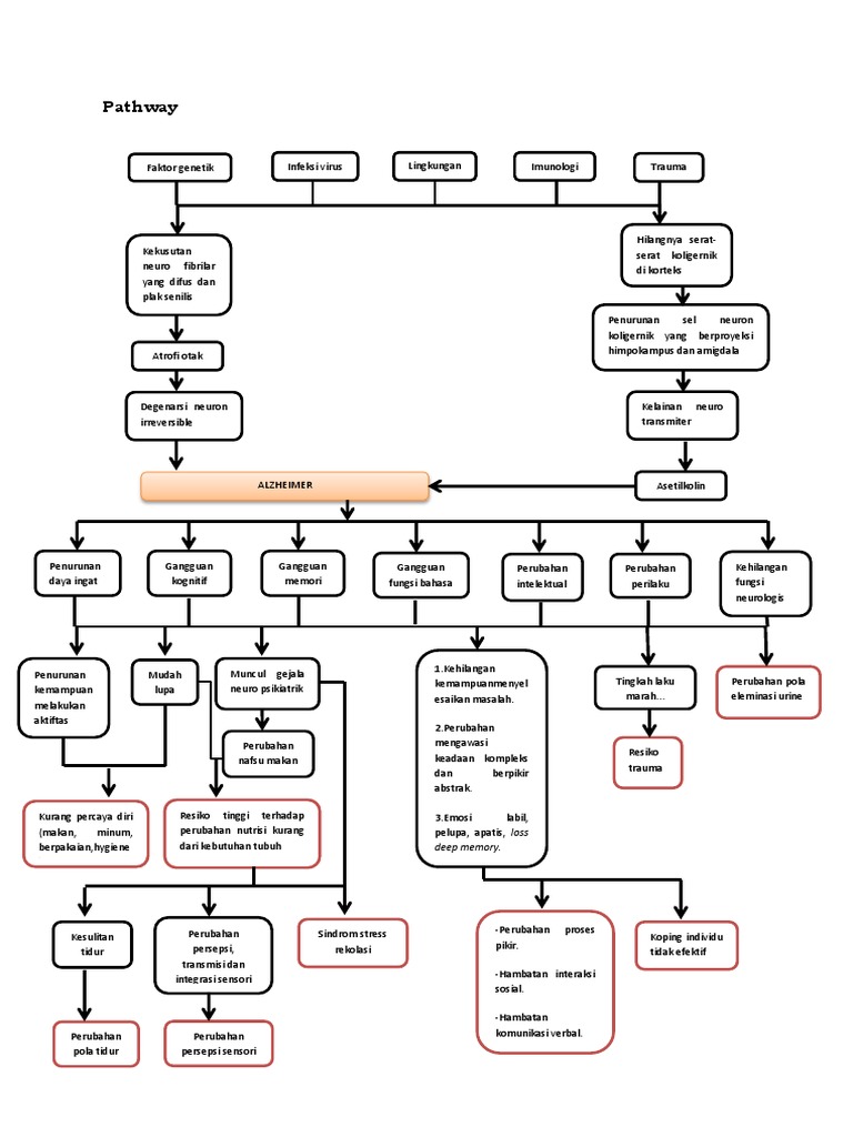 Pathway Alzheimer | PDF