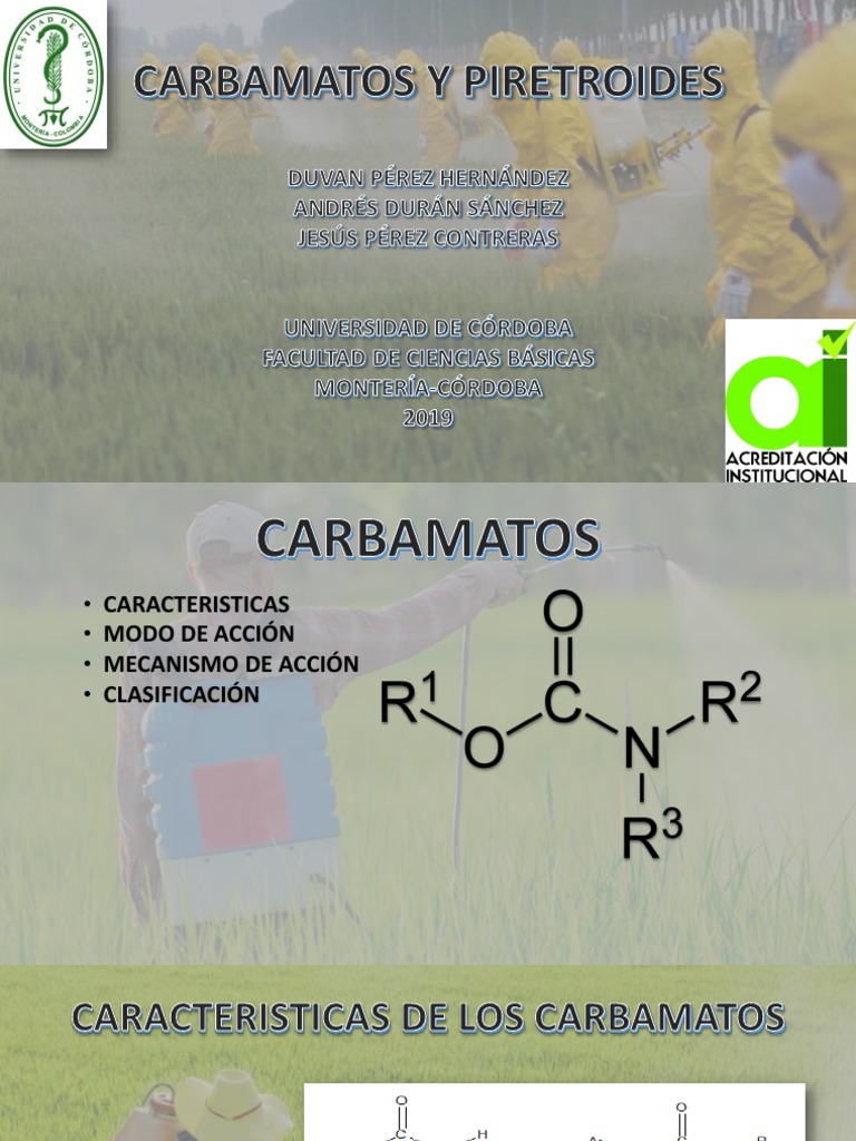 Carbamatos y Piretroides | PDF | Biología | Sistema nervioso