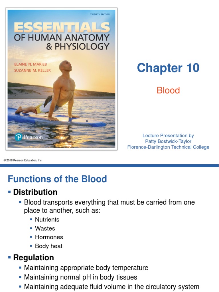 CH 10 Blood | PDF | Blood Type | Granulocyte