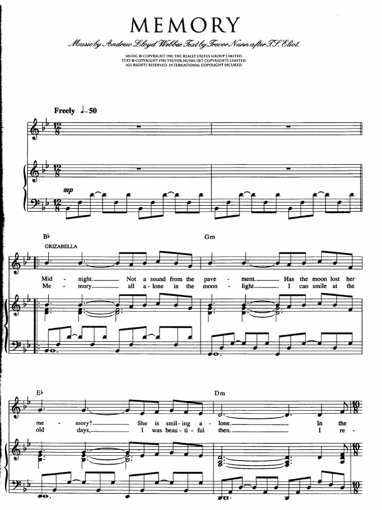 Memory From Cats PDF | PDF