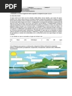 Crucigrama Respuestas | PDF | Entorno natural | Vida