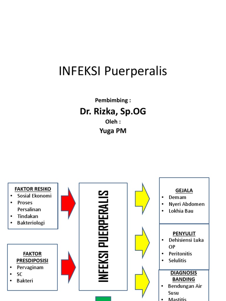 Referat Infeksi Puerperalis | PDF