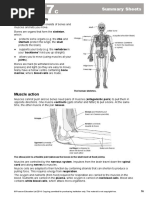 7c Test Paper | PDF | Arm | Blood