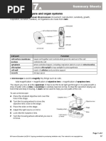 7c Test Paper | PDF | Arm | Blood