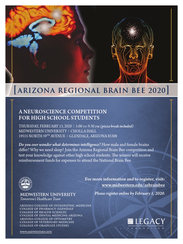 Brain Bee | PDF