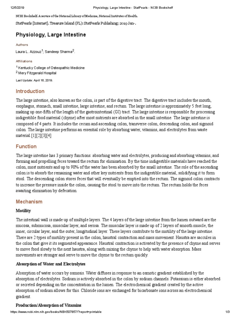 Physiology, Large Intestine - StatPearls - NCBI Bookshelf PDF | PDF ...