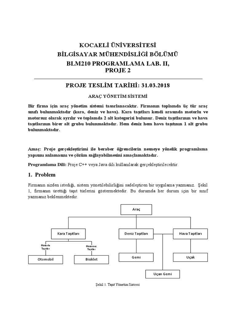 208 Blm210 Pro Lab II 2.proje | PDF