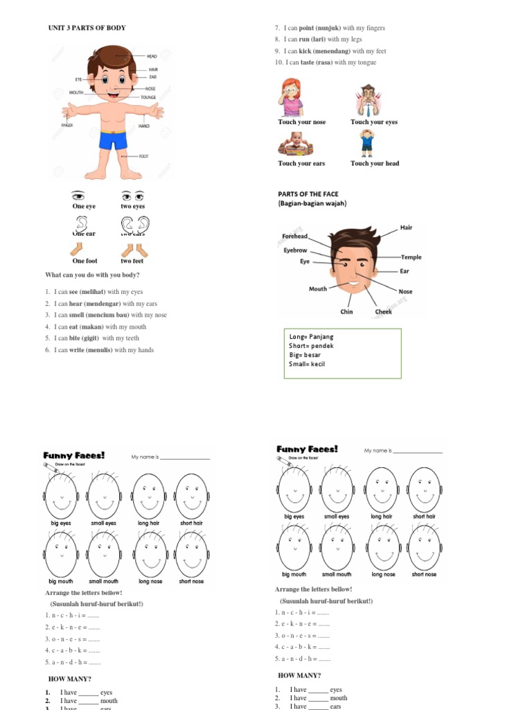 Unit 3 Parts of Body | PDF | Hand | Human Head And Neck