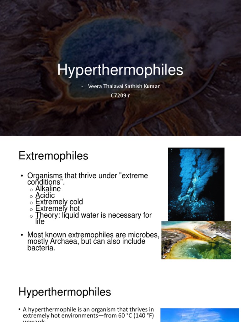 Hyperthermophiles - Microbiology | PDF | Archaea | Dna