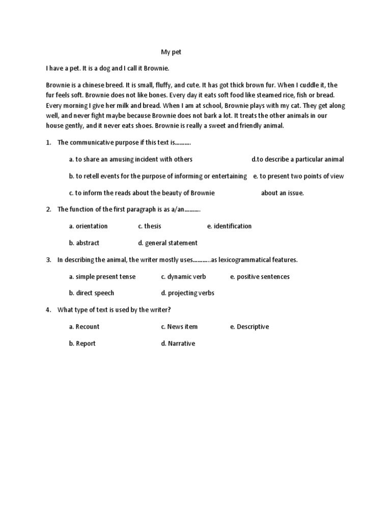 Descriptive Text About My Dog Brownie | PDF | Language Arts & Discipline