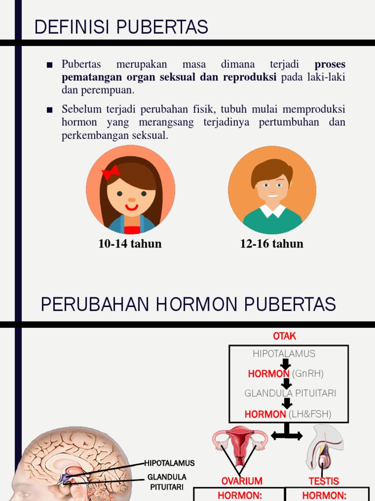 Pubertas | PDF | Pengembangan Diri