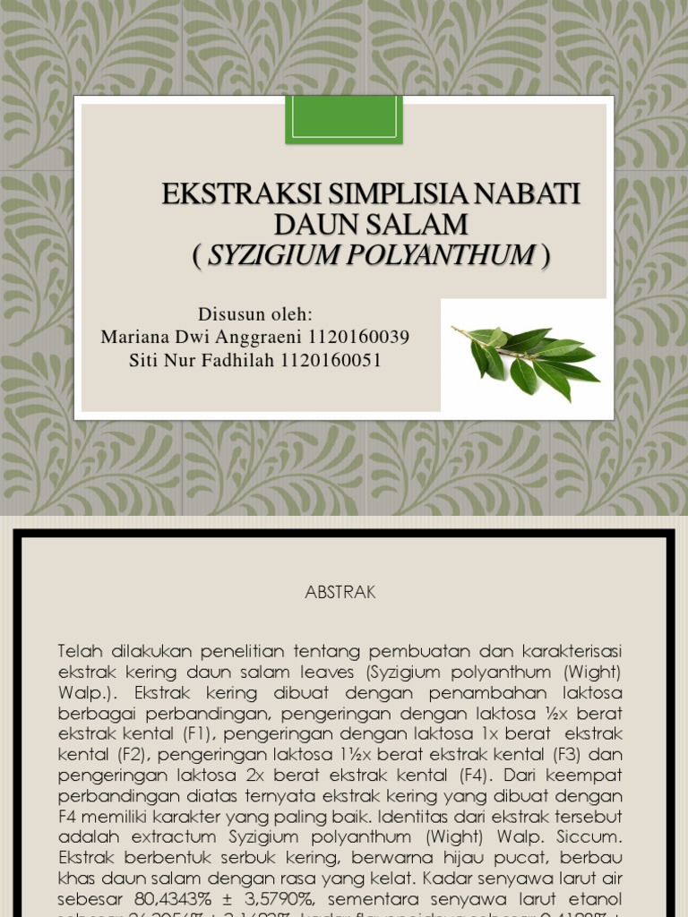 Ekstraksi DAUN SALAM | PDF