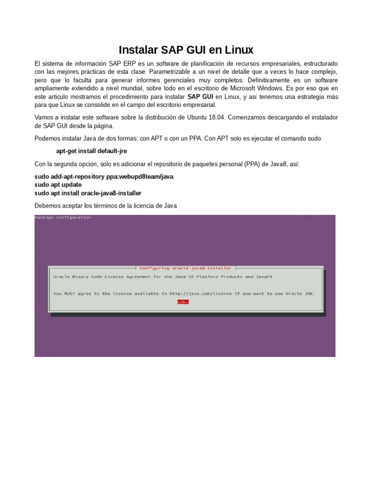 Manual para SAP GUI: Instalacion y Configuracion PDF | PDF