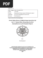 Pedoman Tatalaksana ACS PERKI 2024 | PDF