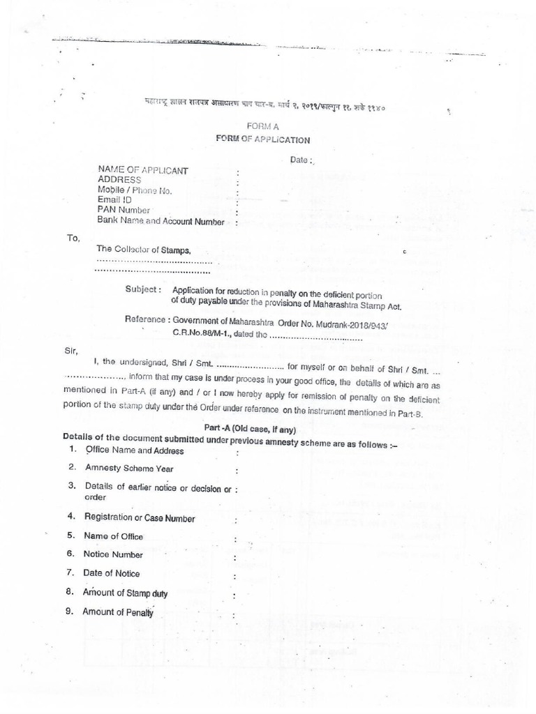 Amnesty Form PDF | PDF