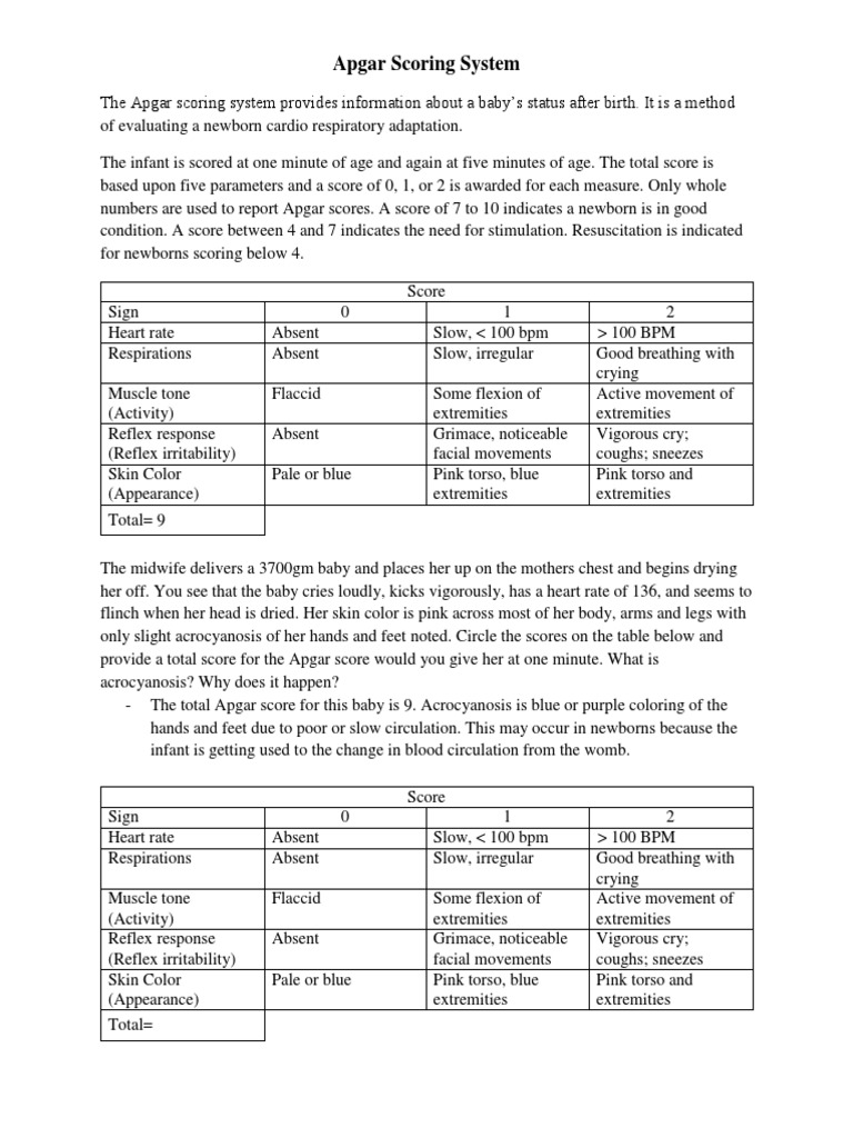 Apgar Scoring Activity | PDF | Heart Rate | Infants