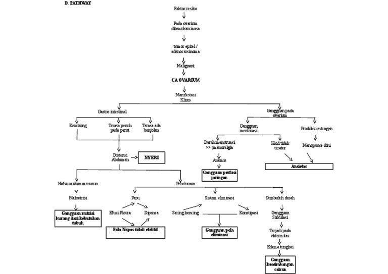 Pathway Ca Ovarium | PDF