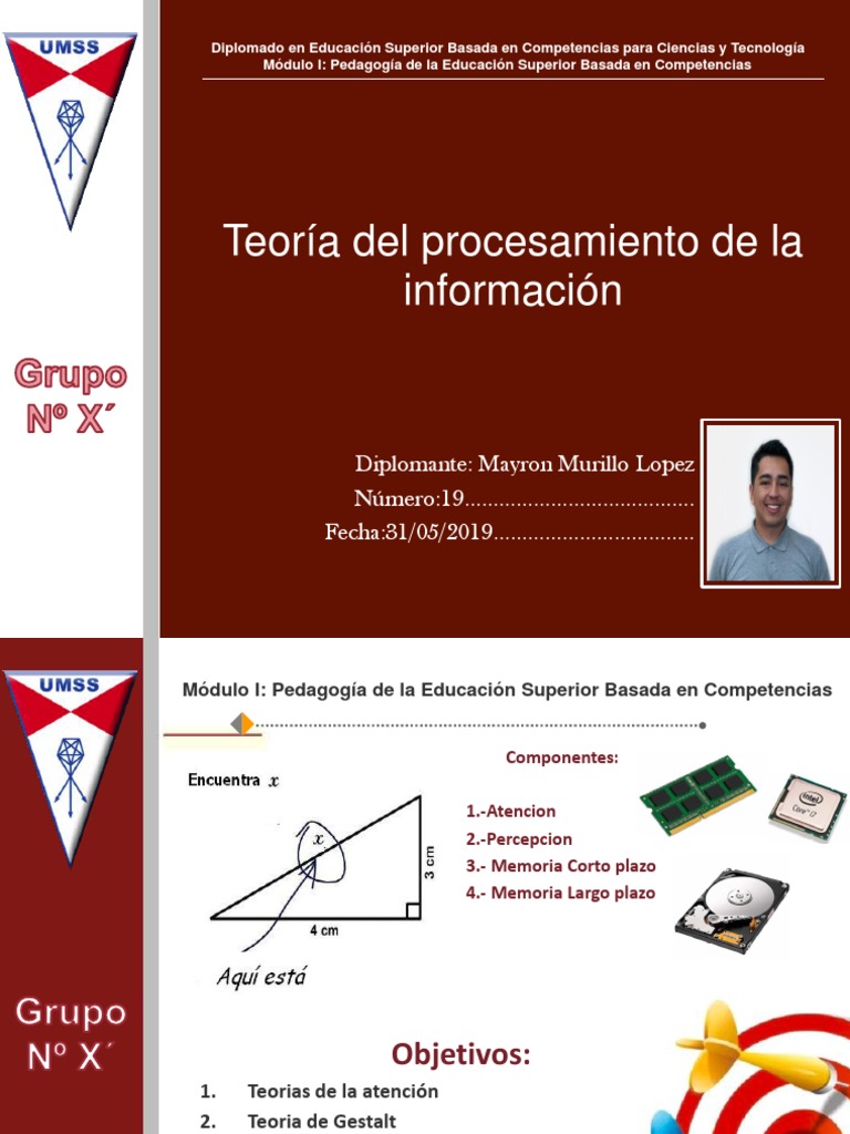 X Prima | PDF | Memoria | Percepción