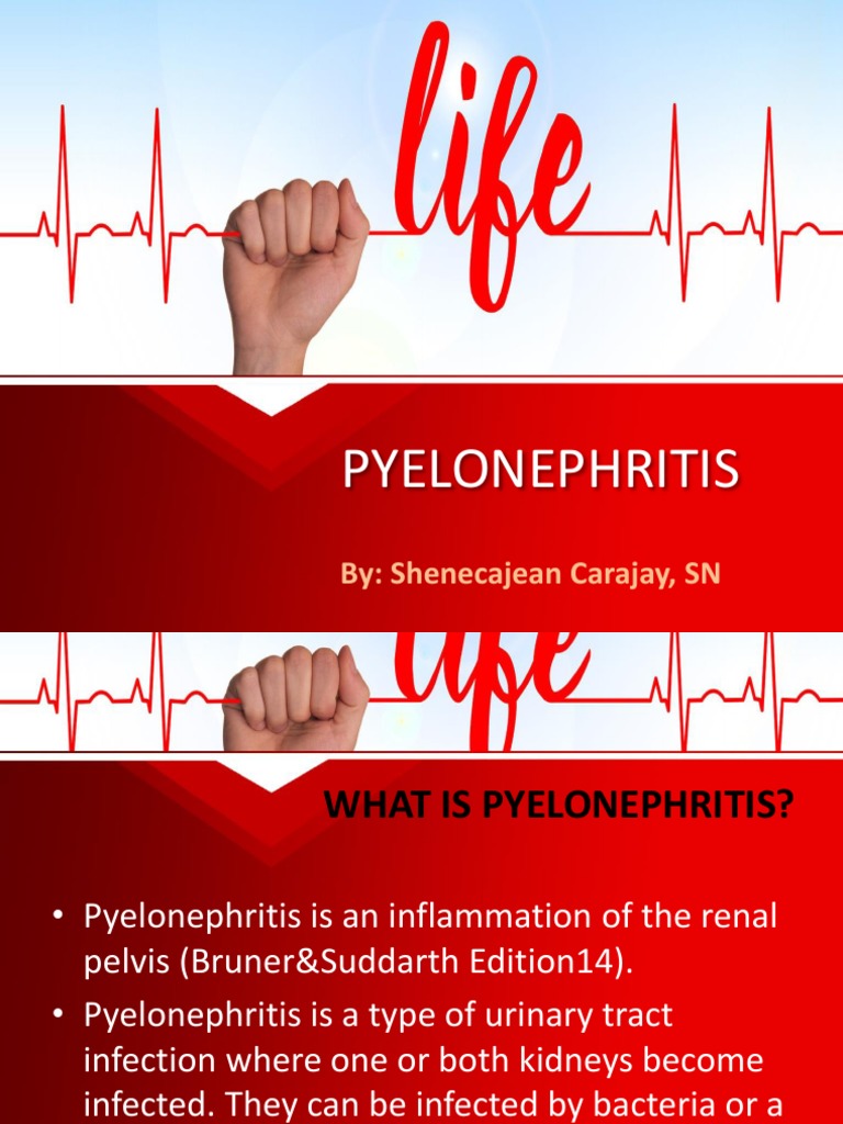 PYELONEPHRITIS | PDF | Urinary Tract Infection | Kidney