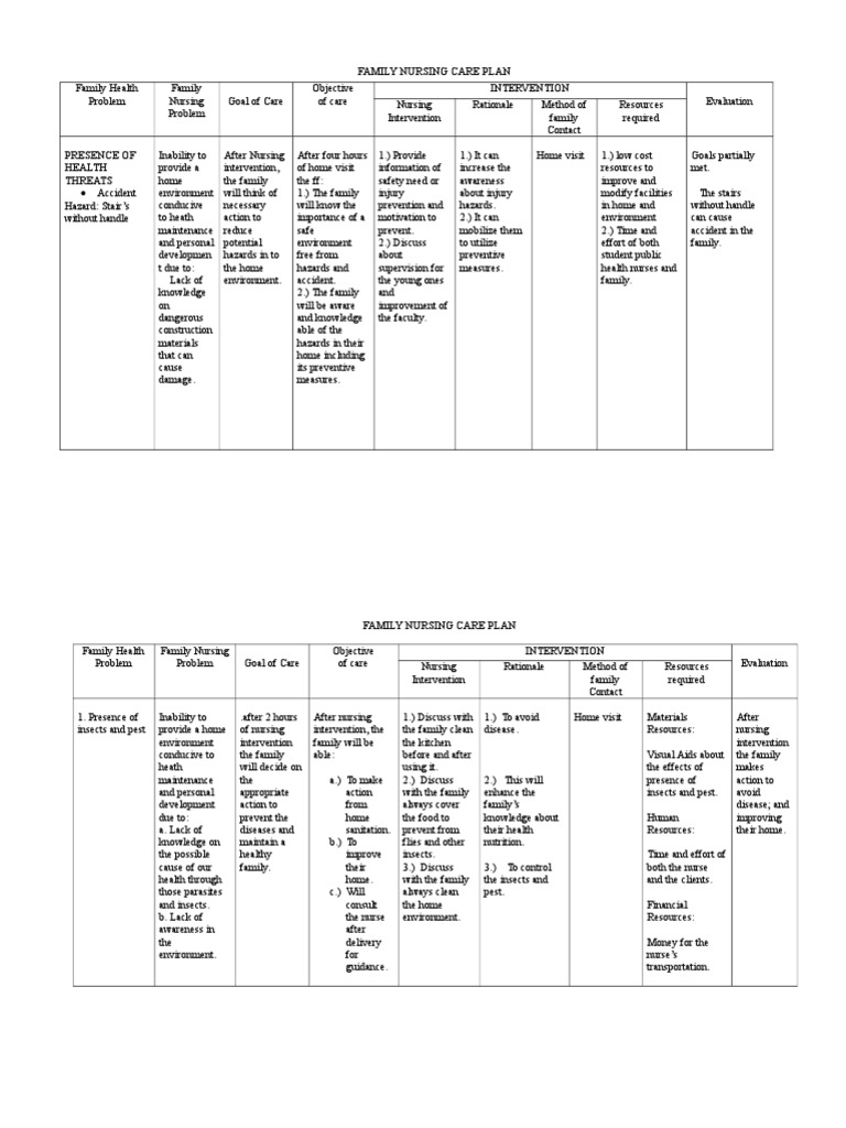 FAMILY NURSING CARE PLAN Family Health Problem Family Nursing Problem ...