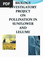 Class 12 Investigatory Project on Pollination | PDF | Pollination ...