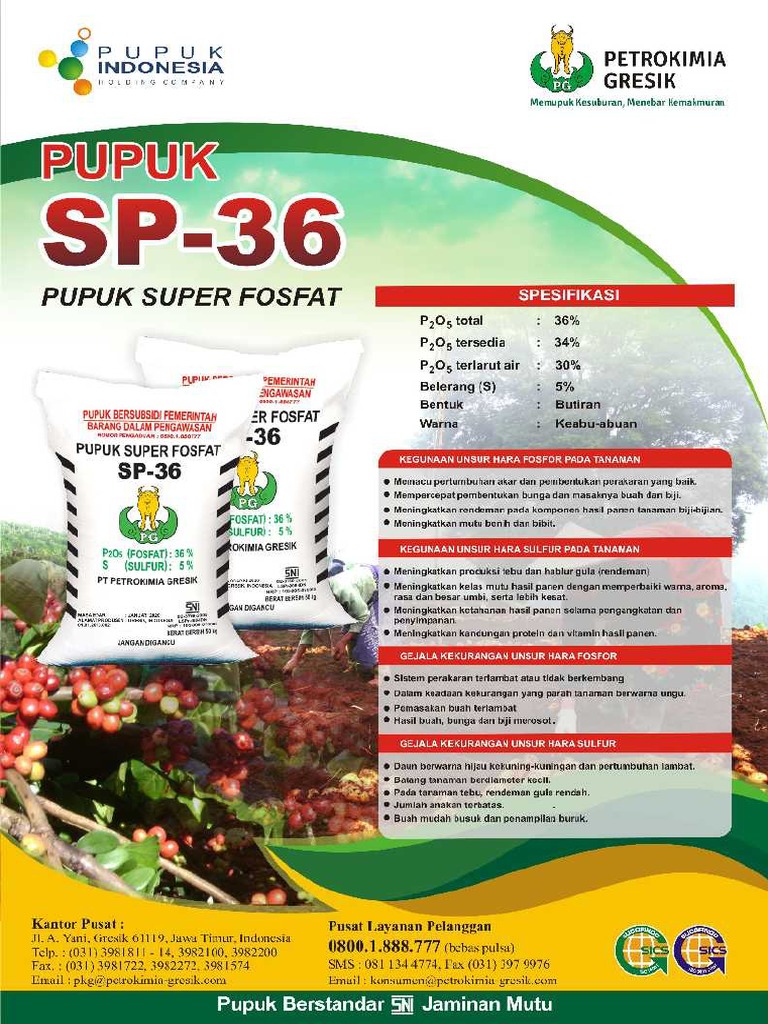 Brosur SP36 PDF | PDF