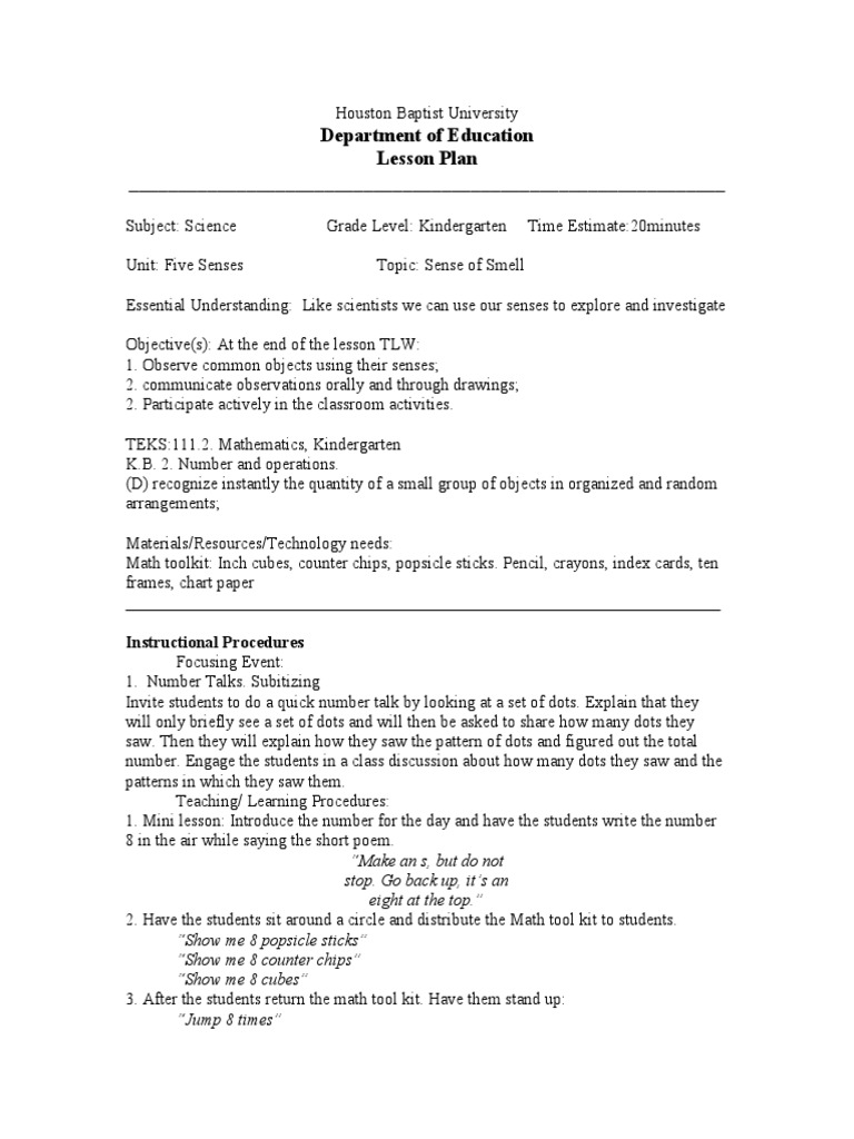 Third Observation Lesson Plan Science | PDF | Lesson Plan | Learning