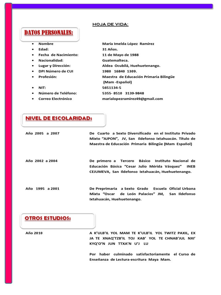 Currículum Vitae de María Imelda López | PDF | Organización no gubernamental | Plan de estudios