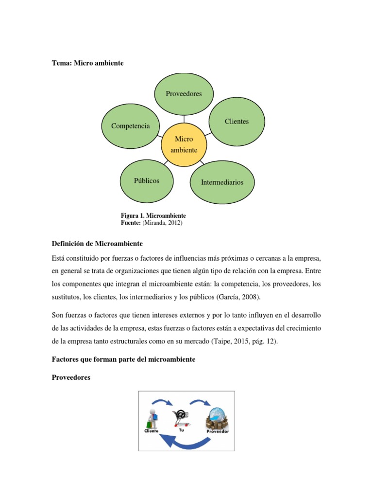 Consulta de Microambiente | PDF | Mercado (economía) | Marketing