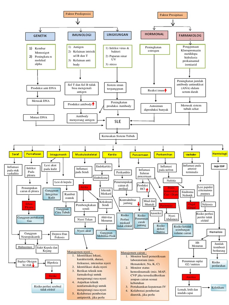 Patoflow Sle Kelompok 4 | PDF