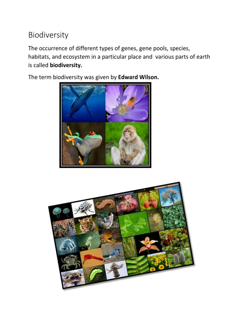 Biodiversity investigatory project | Biodiversity | Conservation Biology