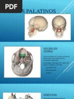 Lesiones Básicas. Osteofitos (Clases), Sindesmosfitos, Entesofitos ...