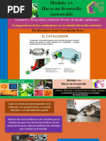 Act 5 y 6/módulo 15 | PDF | Sustentabilidad