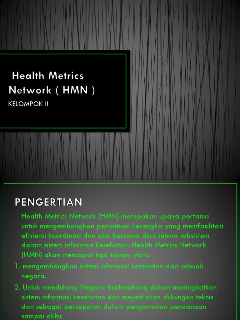 Health Metrics Network (HMN) | PDF