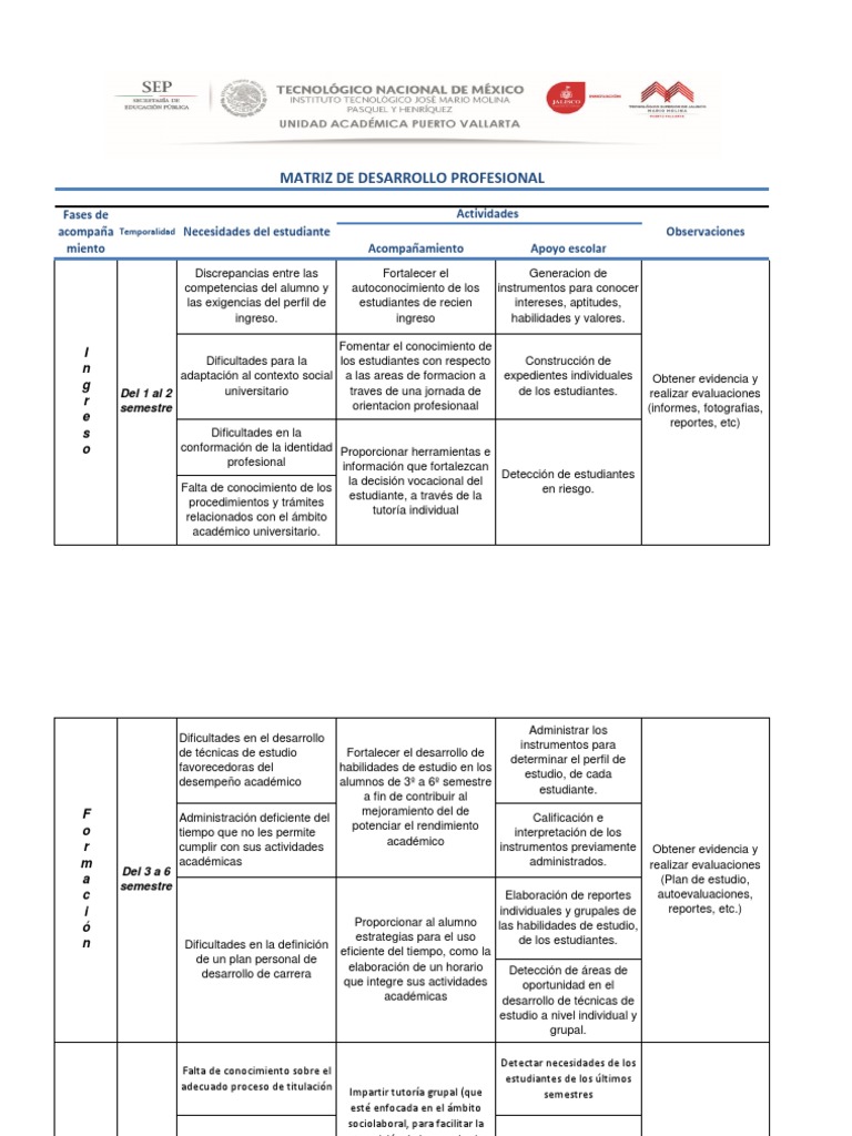 Matriz de Desarrollo Profesional | PDF | Cognición | Aprendizaje