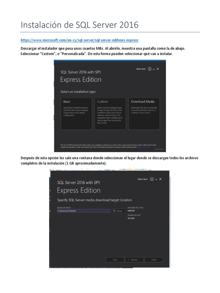 Instalación de SQL Server 2016 | PDF | Negocios | Informática