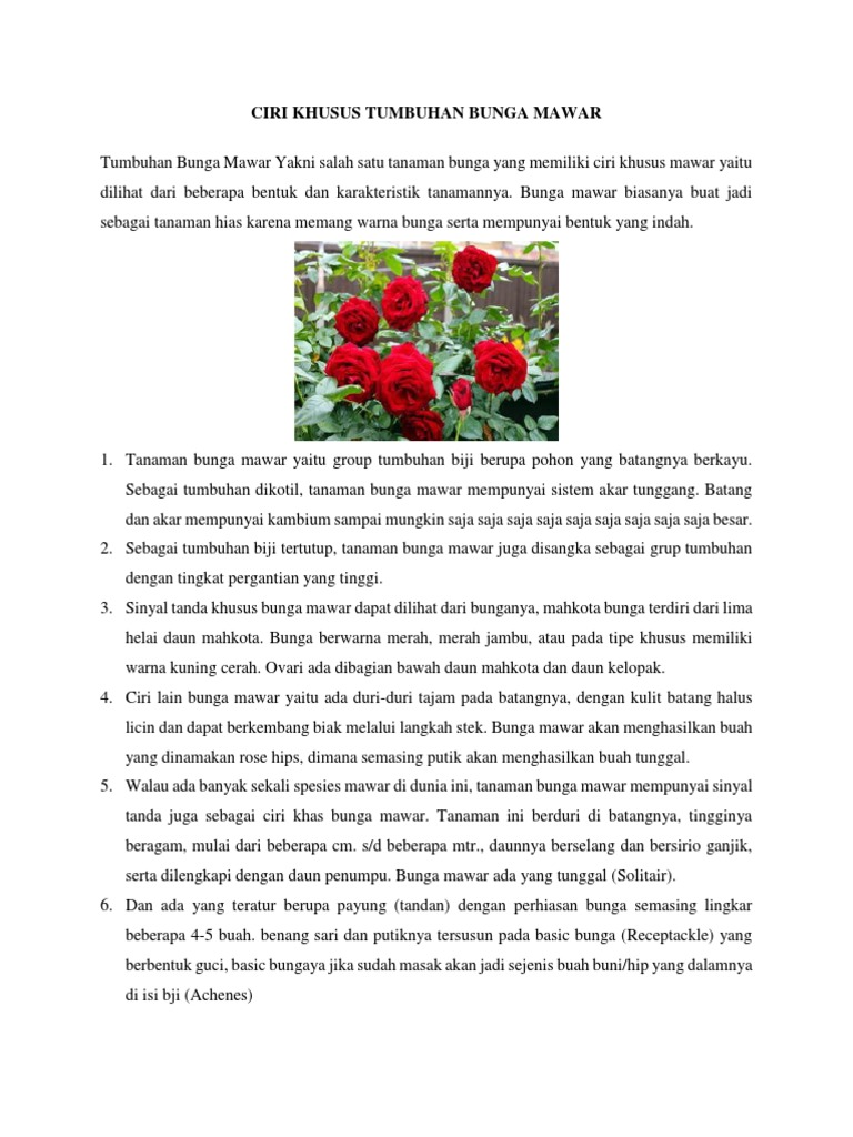 Ciri Khusus Tumbuhan Bunga Mawar | PDF | Sains & Matematika