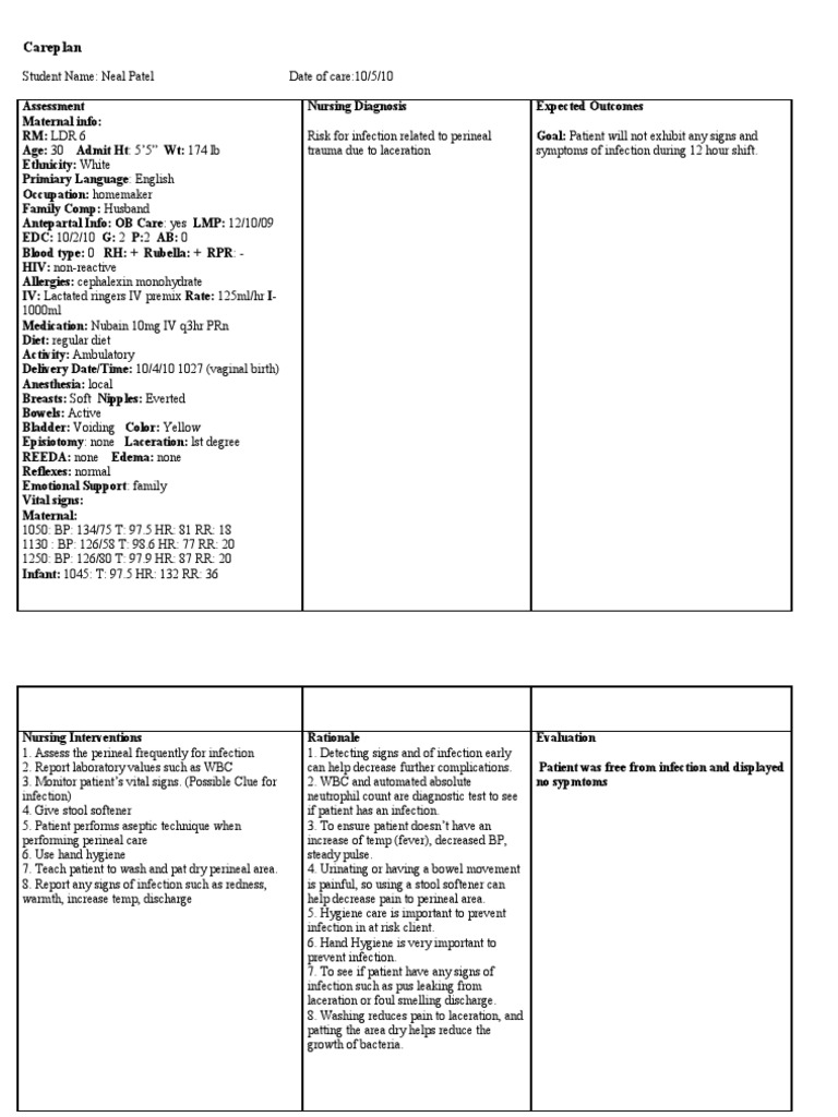 Neal Care Plan 1 | PDF | Pain | Infection