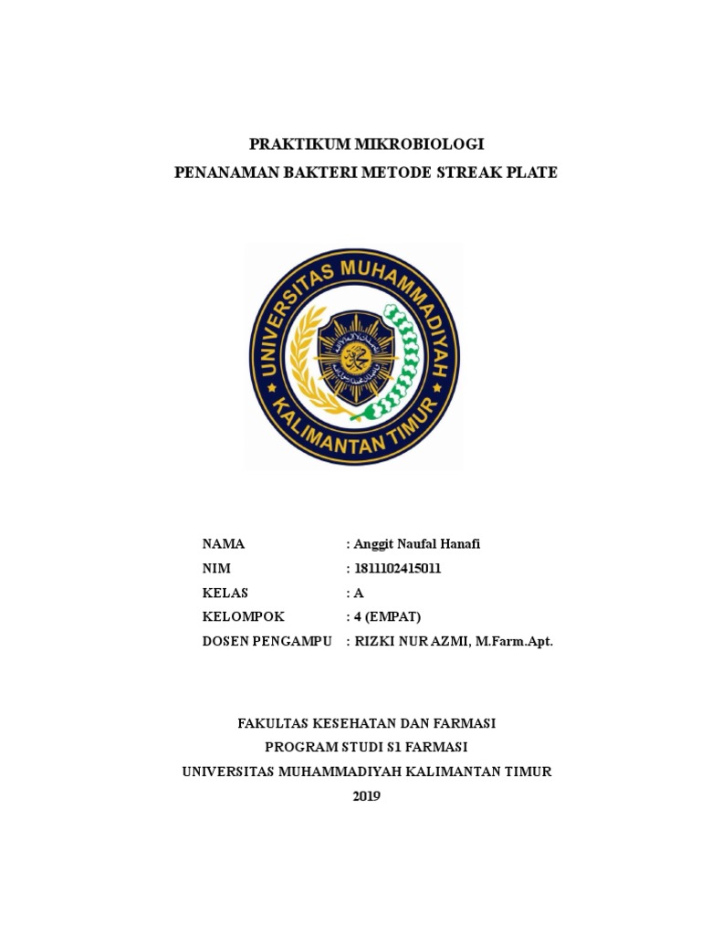 Penanaman Bakteri Metode Streak Plate | PDF