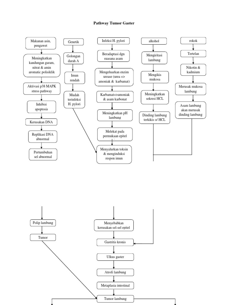 Woc Tumor Gaster | PDF
