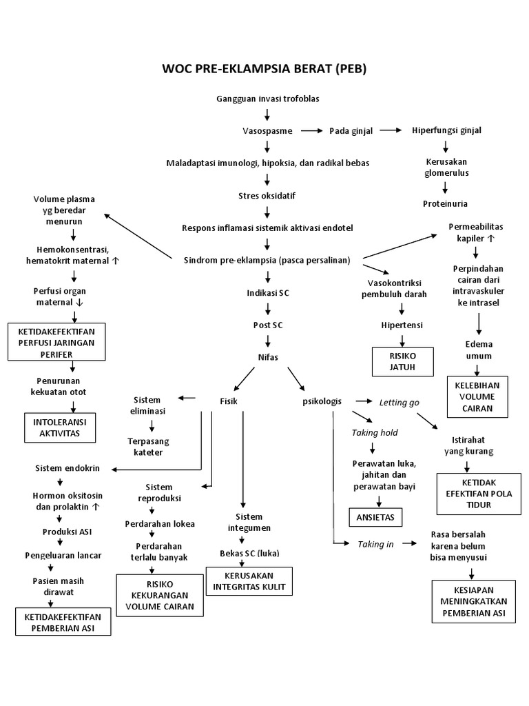 Woc Peb (Post-Op) | PDF