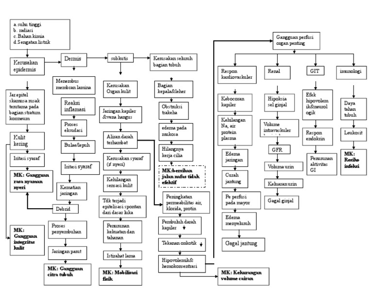Pathway Combustio | PDF