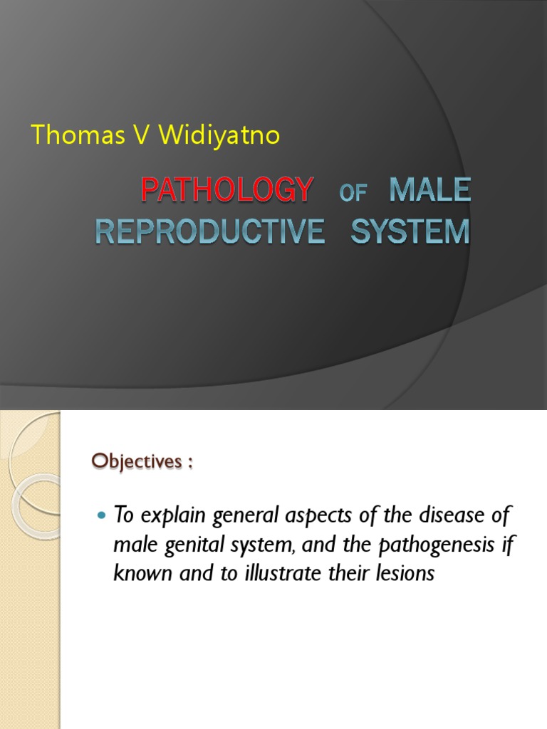 Male Reproductive Pathology Guide | PDF | Testicle | Neoplasms