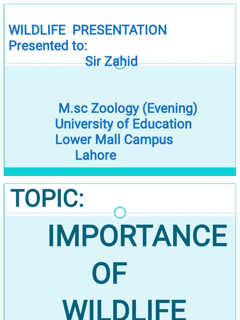 Wildlife Presentation | PDF