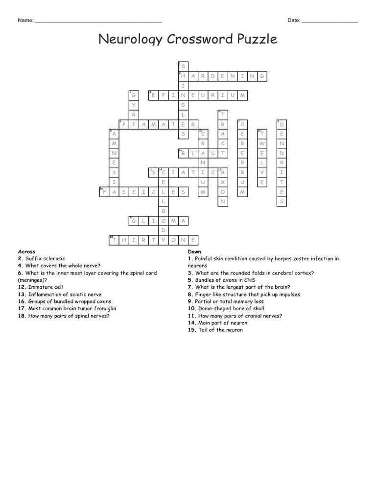 Neurology Crossword Puzzle Answer Key | PDF | Nerve | Central Nervous ...