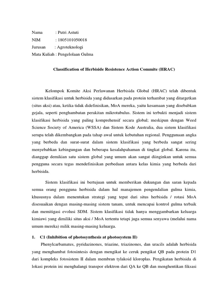 HRAC Group | PDF | Griya & Taman | Kesehatan Holistik