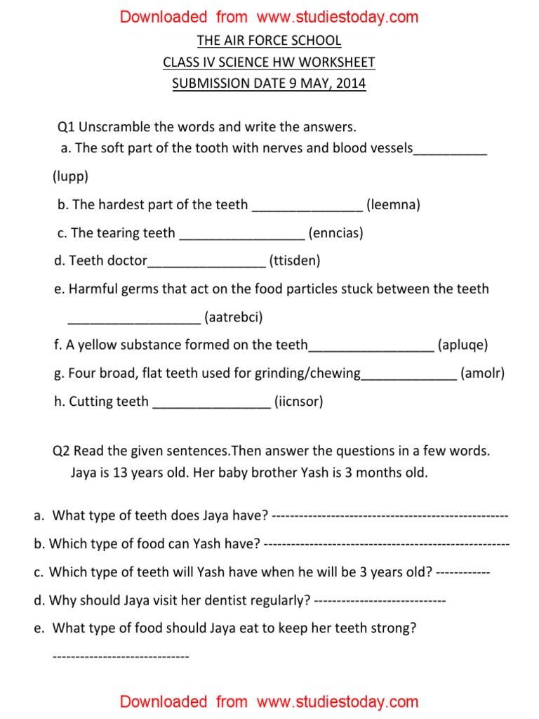 Class 4 Teeth Worksheet and Answers | PDF | Career & Growth
